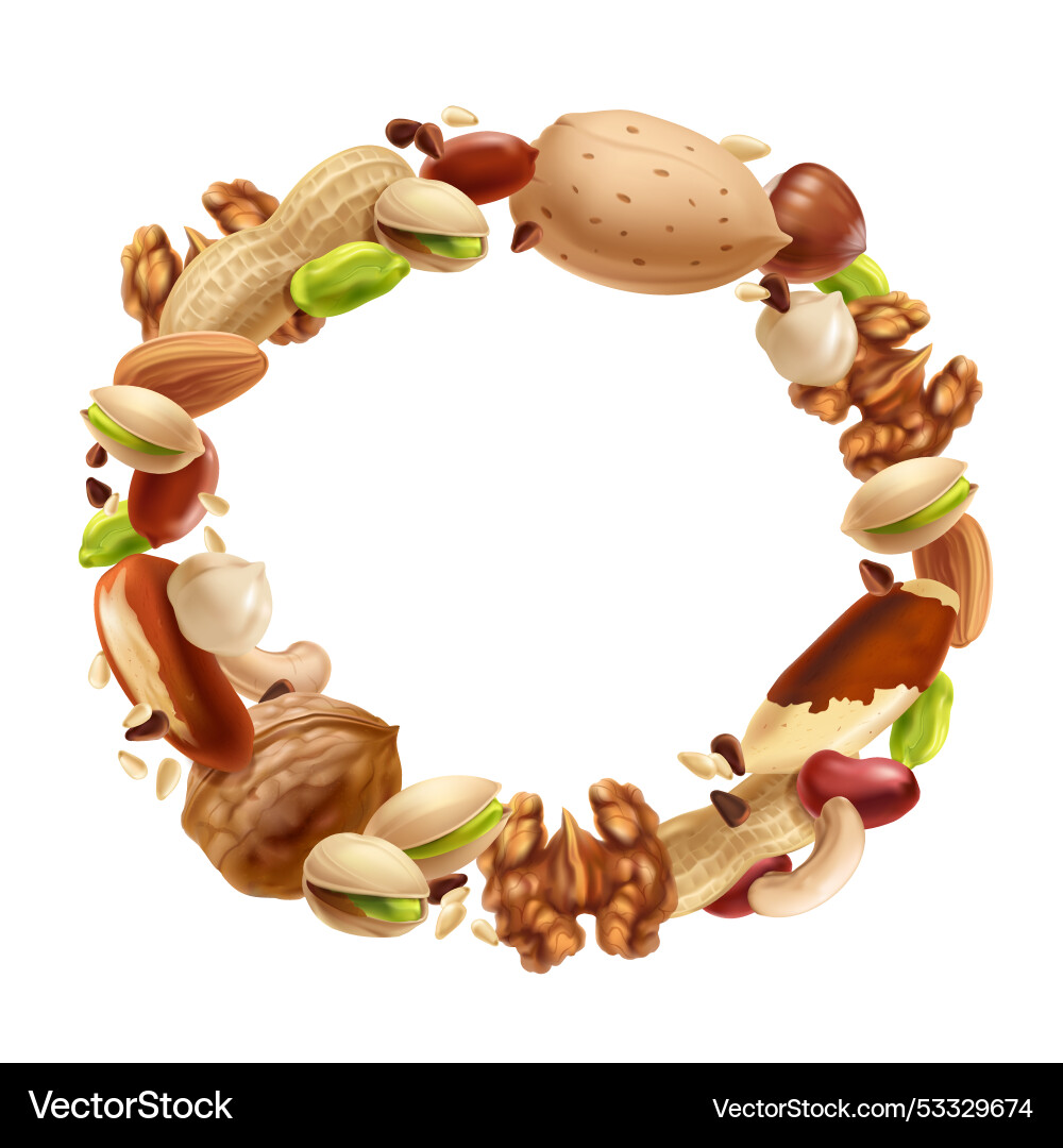 Nut composition isolated on a white background Vector Image