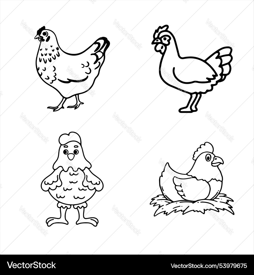 Hen line art Royalty Free Vector Image - VectorStock