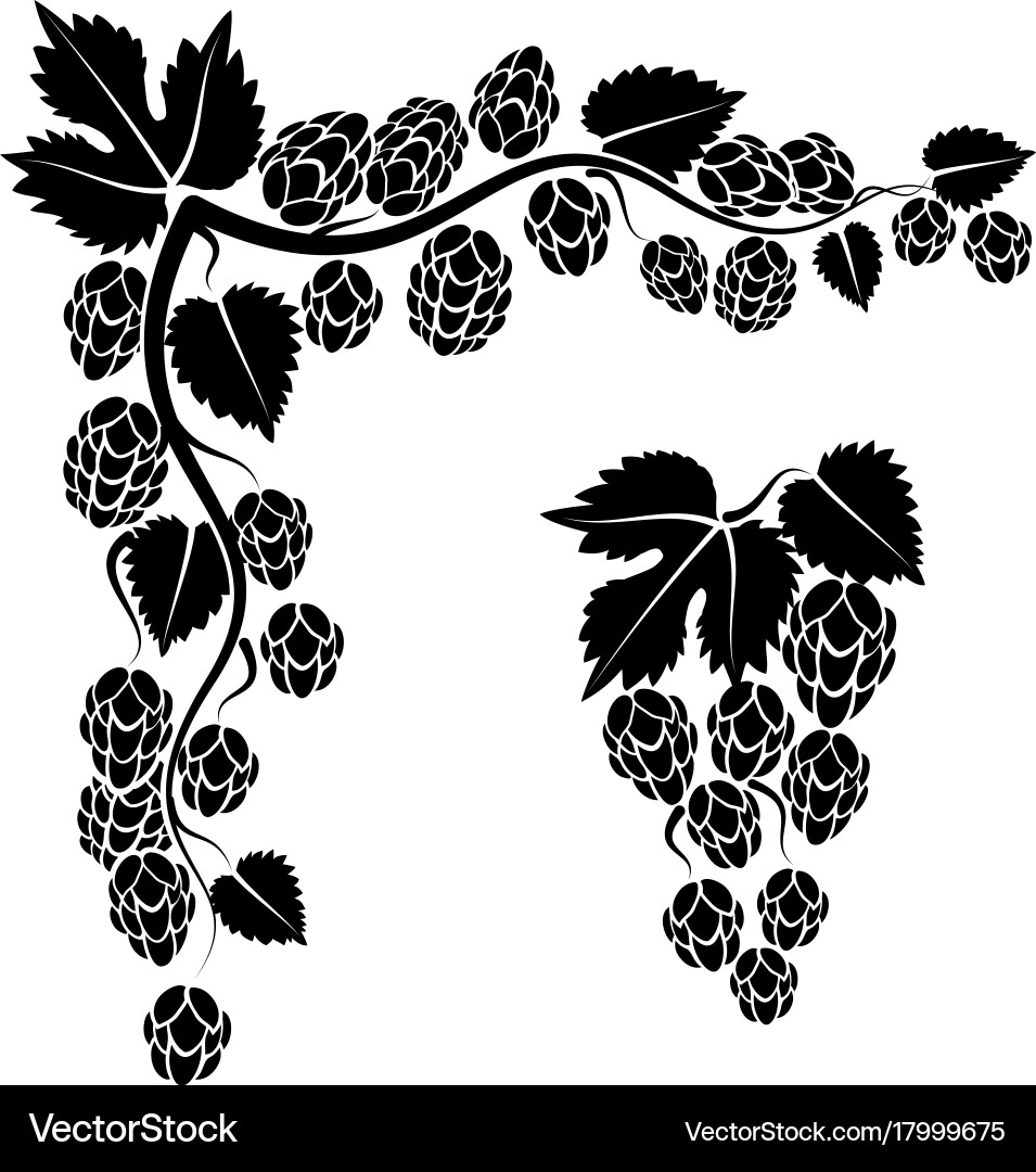 Common Hop Vector Images (49)