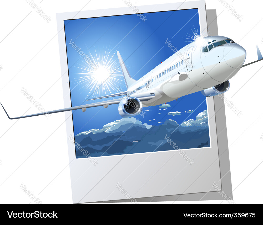 Passenger boeing 737 Royalty Free Vector Image