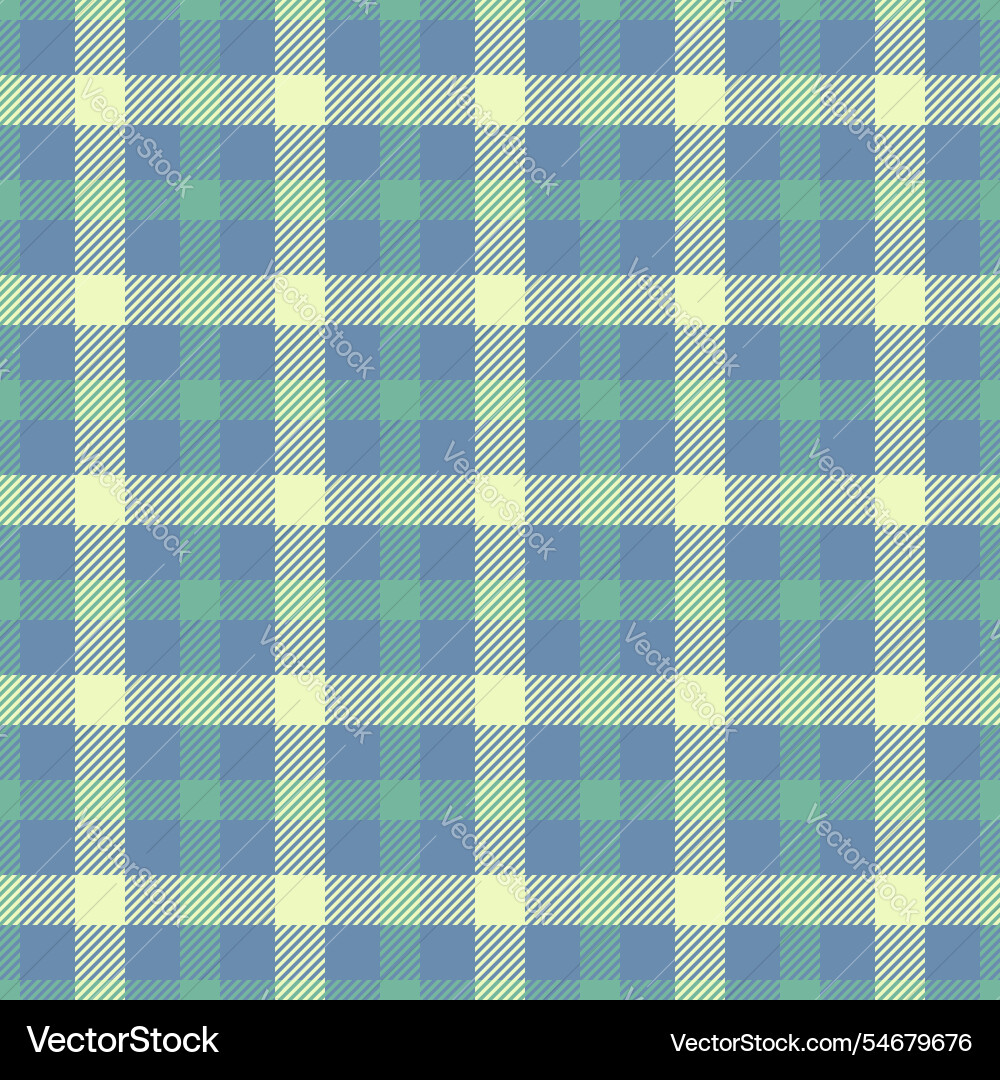 Commercial fabric seamless cowboy check plaid Vector Image