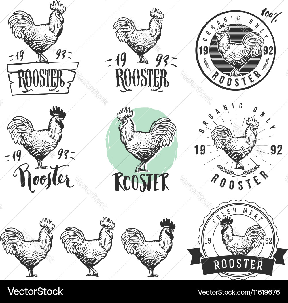 Rooster chicken product logotypes set hen meat Vector Image