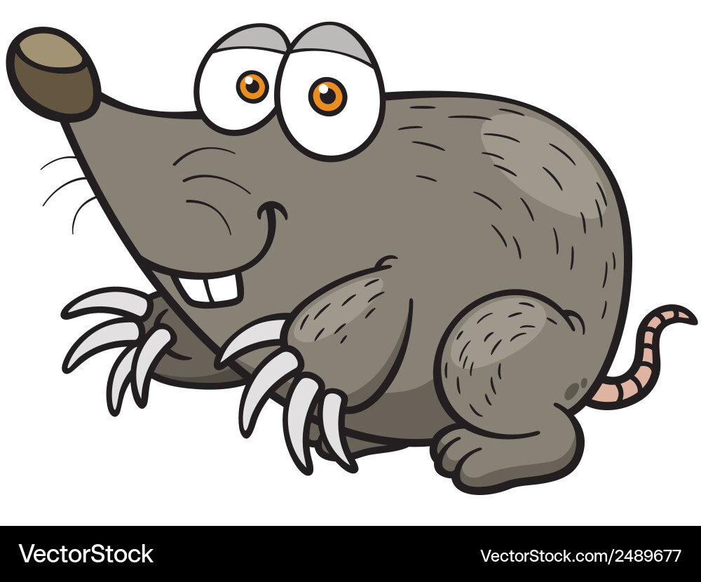 Mole Royalty Free Vector Image - VectorStock