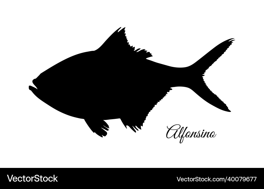 Silhouette of alfonsino fish Royalty Free Vector Image
