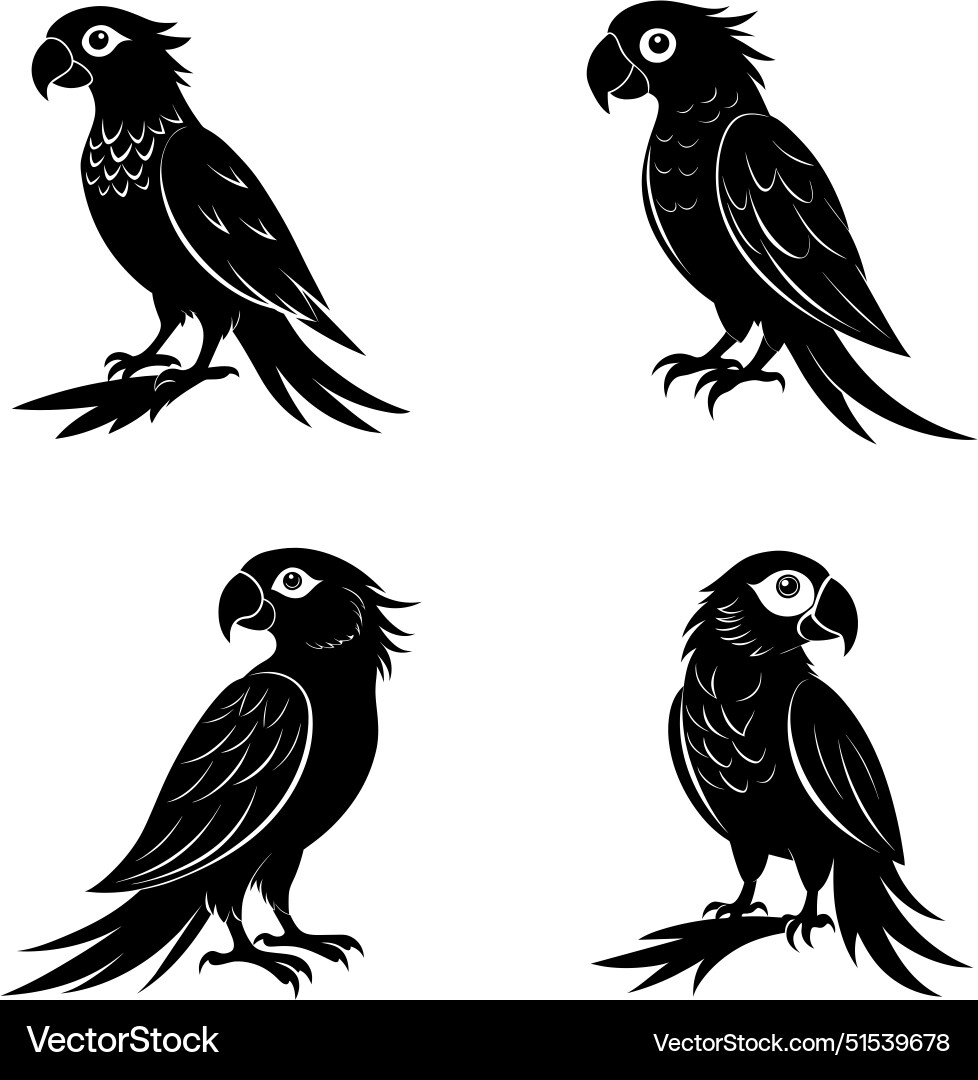 Collection of parrot Royalty Free Vector Image
