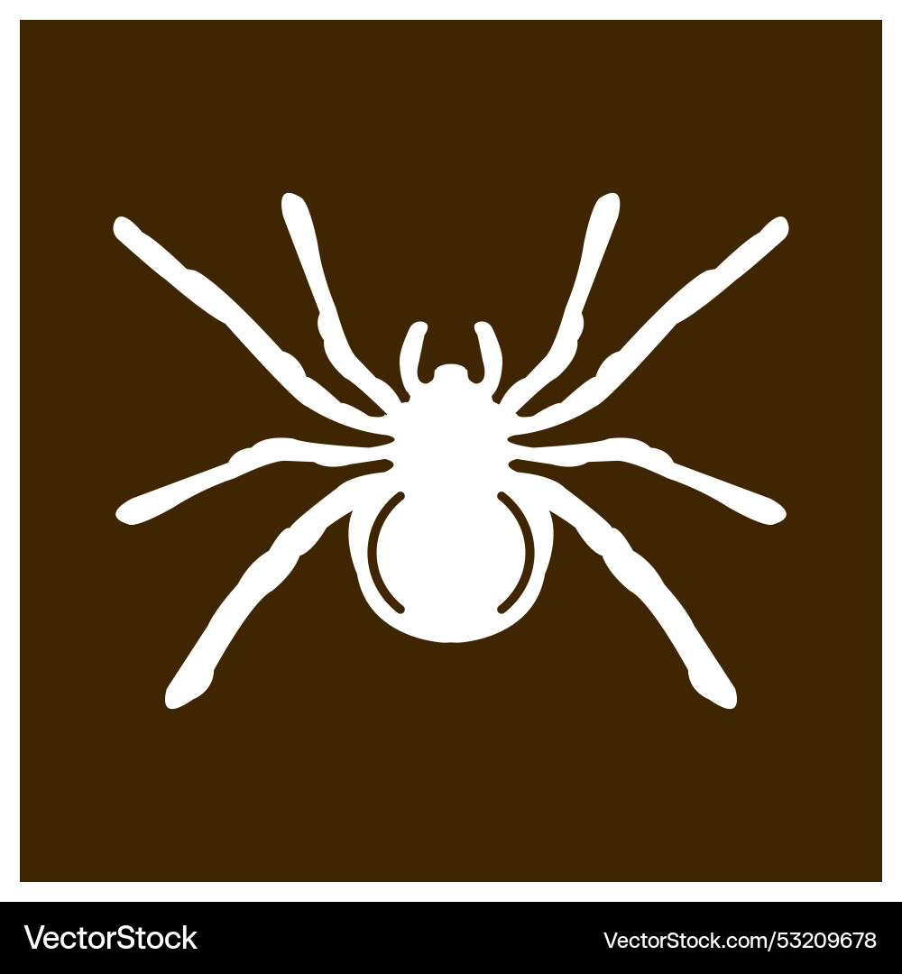 Spider icon Royalty Free Vector Image - VectorStock