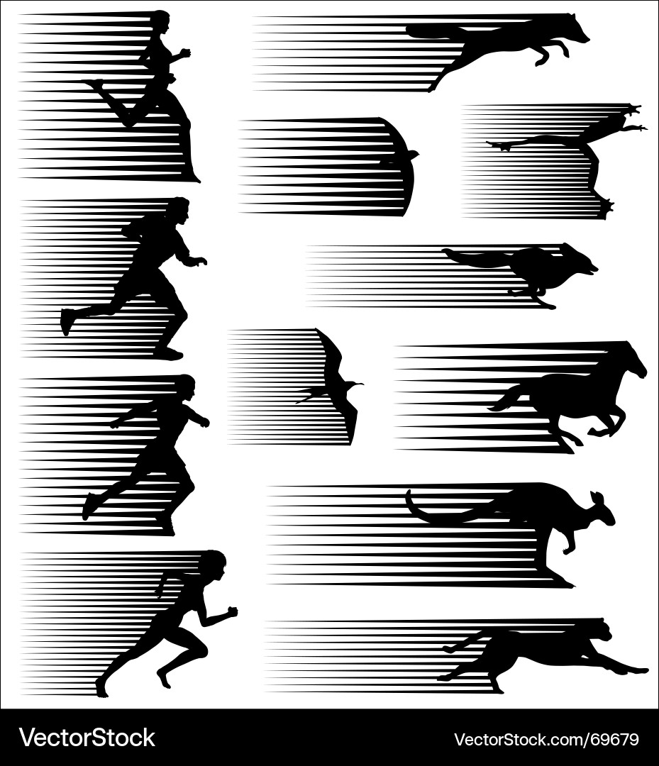 Fast Royalty Free Vector Image - VectorStock
