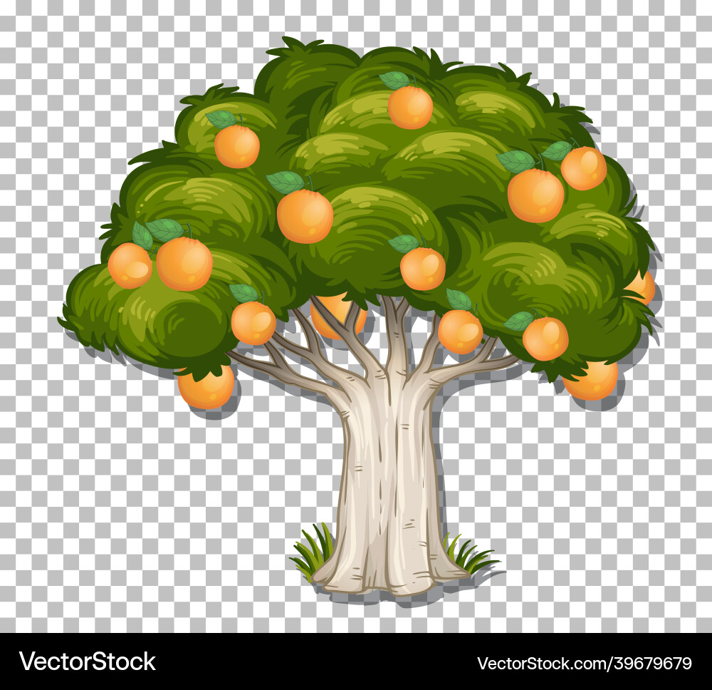 Orange tree on transparent background Royalty Free Vector