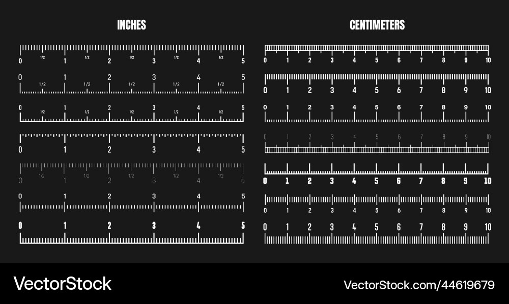 Realistic white centimeter and inch scale Vector Image