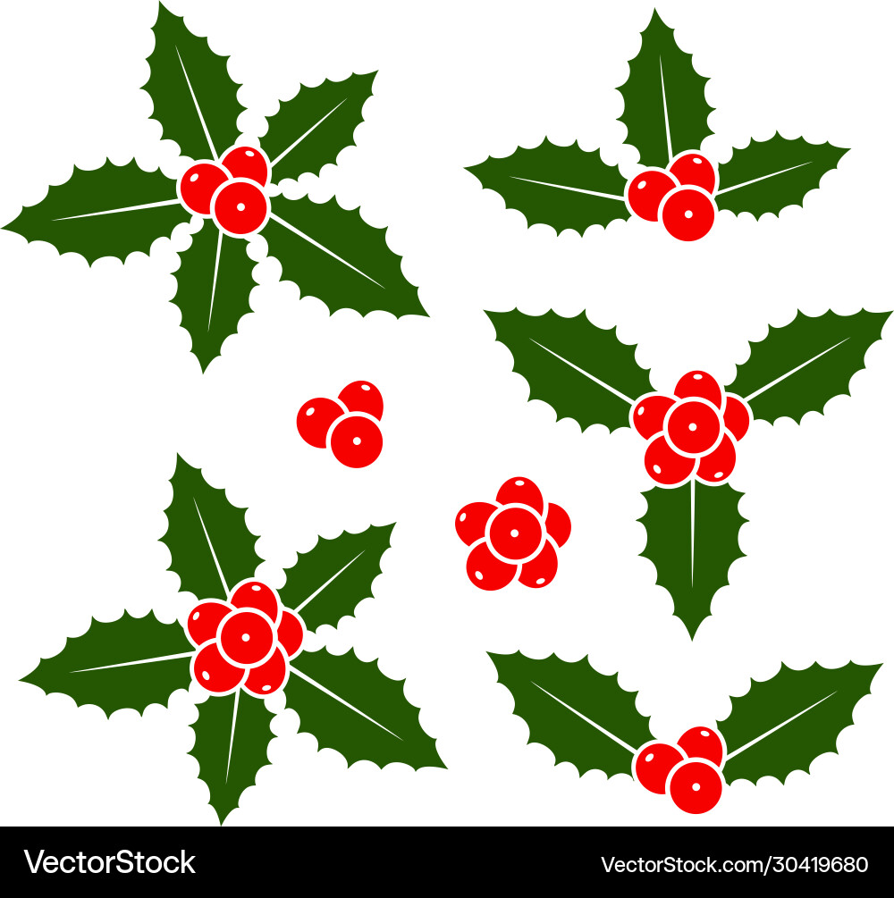 Holly berry Royalty Free Vector Image - VectorStock