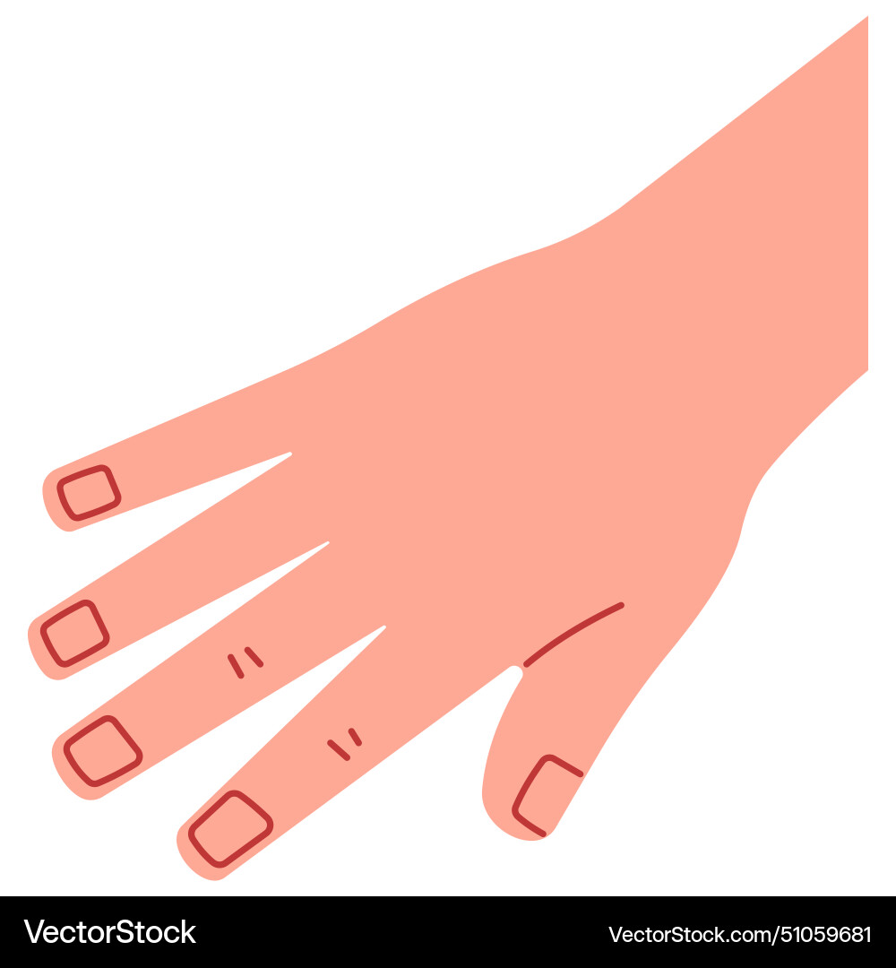 Back of hand Royalty Free Vector Image - VectorStock