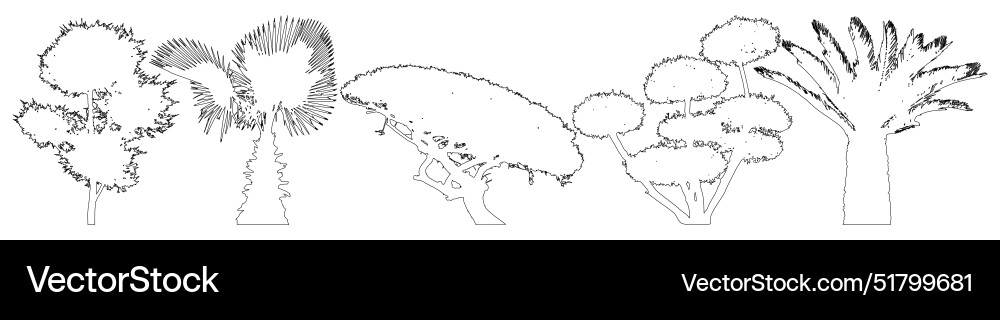 Decorative bonsai palm trees contour set Vector Image