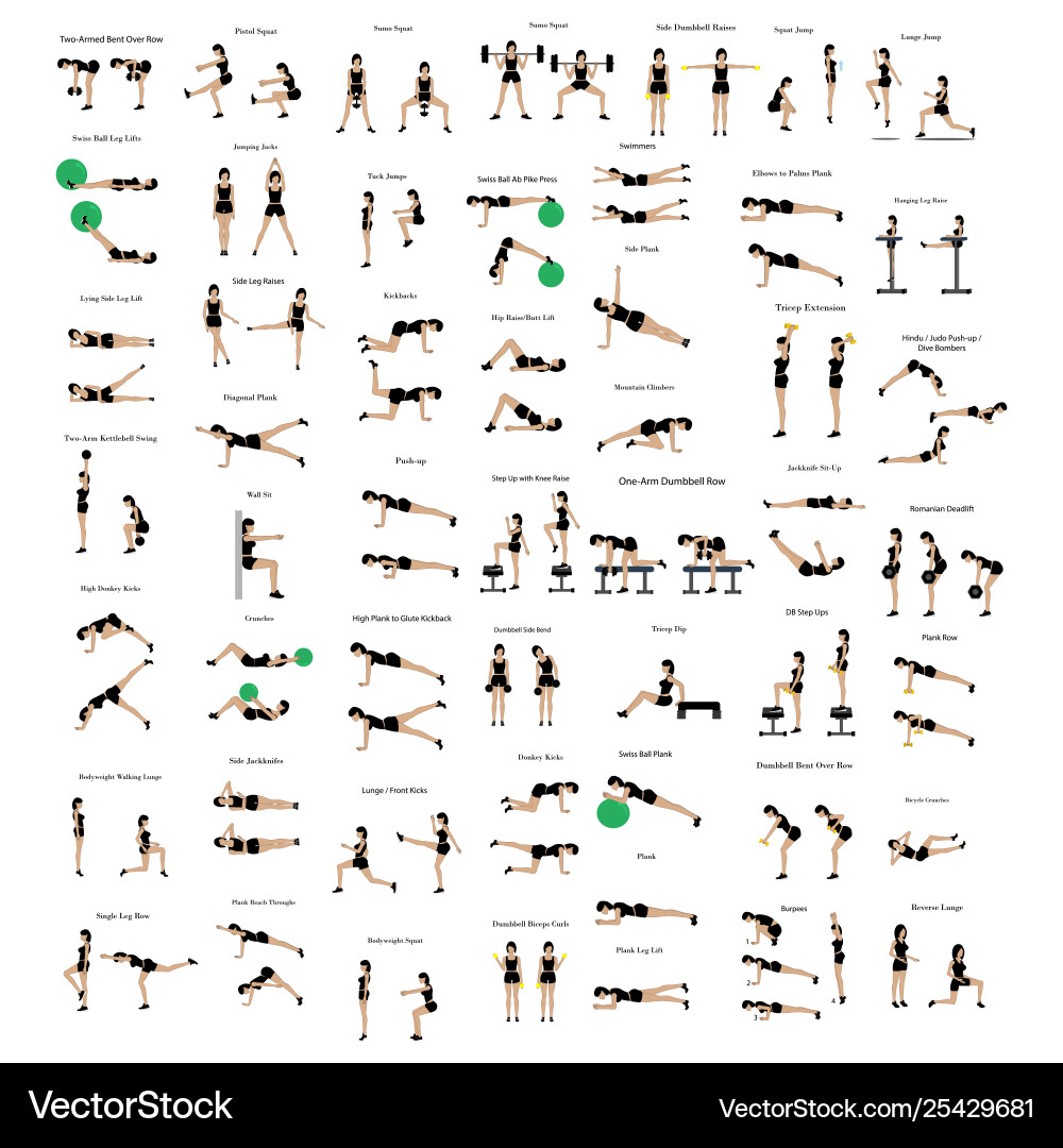 Workout exercise Royalty Free Vector Image - VectorStock