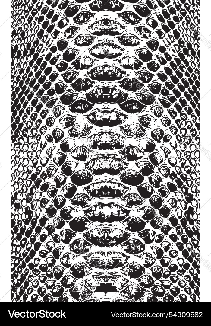 Cobra skin pattern symbol of power Royalty Free Vector Image