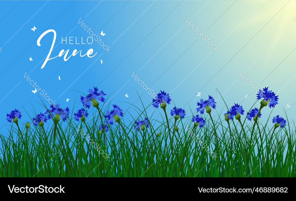 Summer Meadow Banner Royalty Free Vector Image