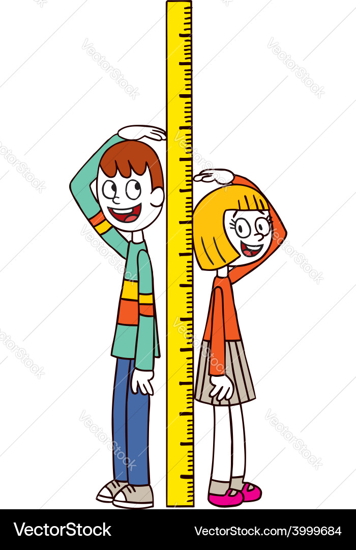 Height measure Royalty Free Vector Image - VectorStock