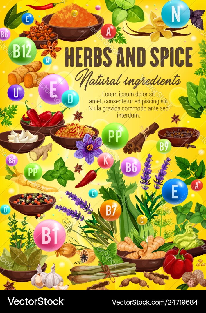 Spices and herbs high in vitamins minerals Vector Image