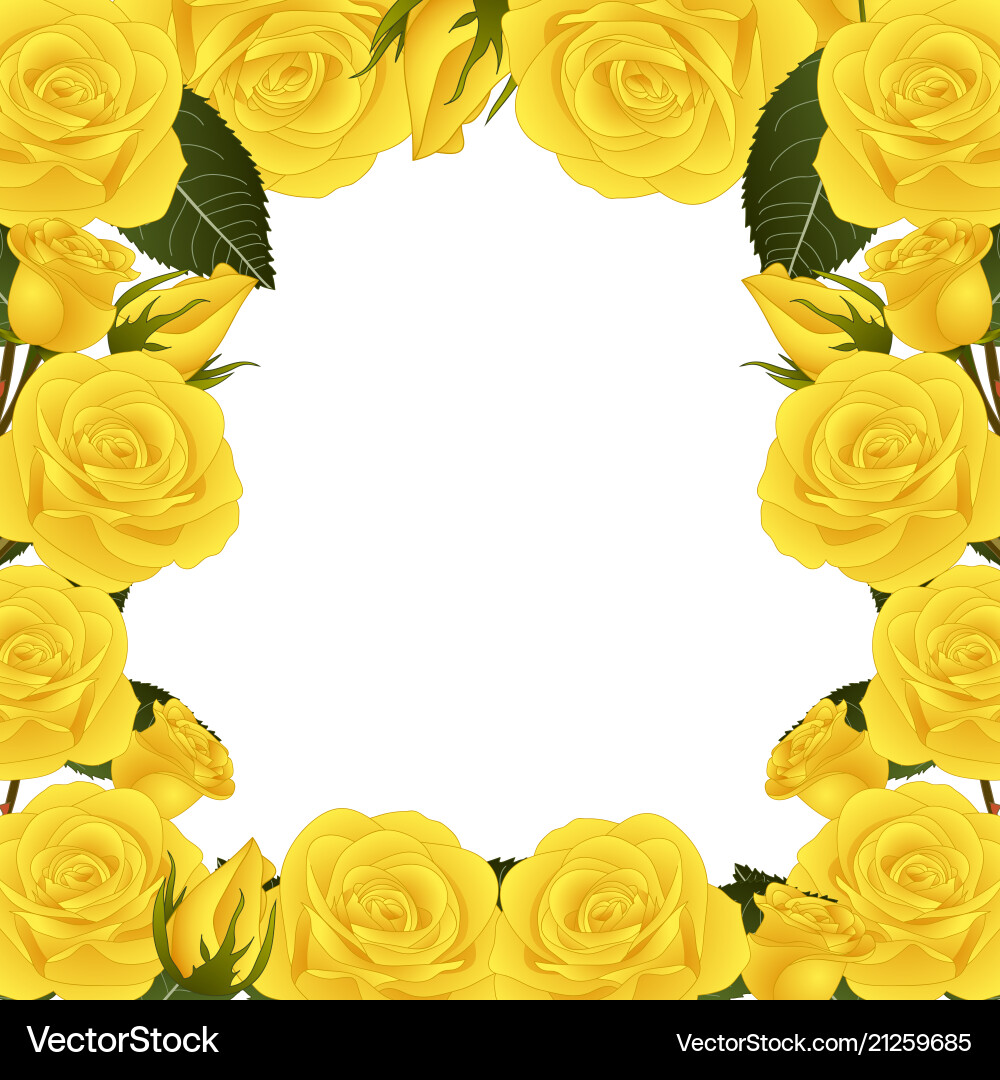Elegant Yellow Rose Border Royalty Free Vector Image