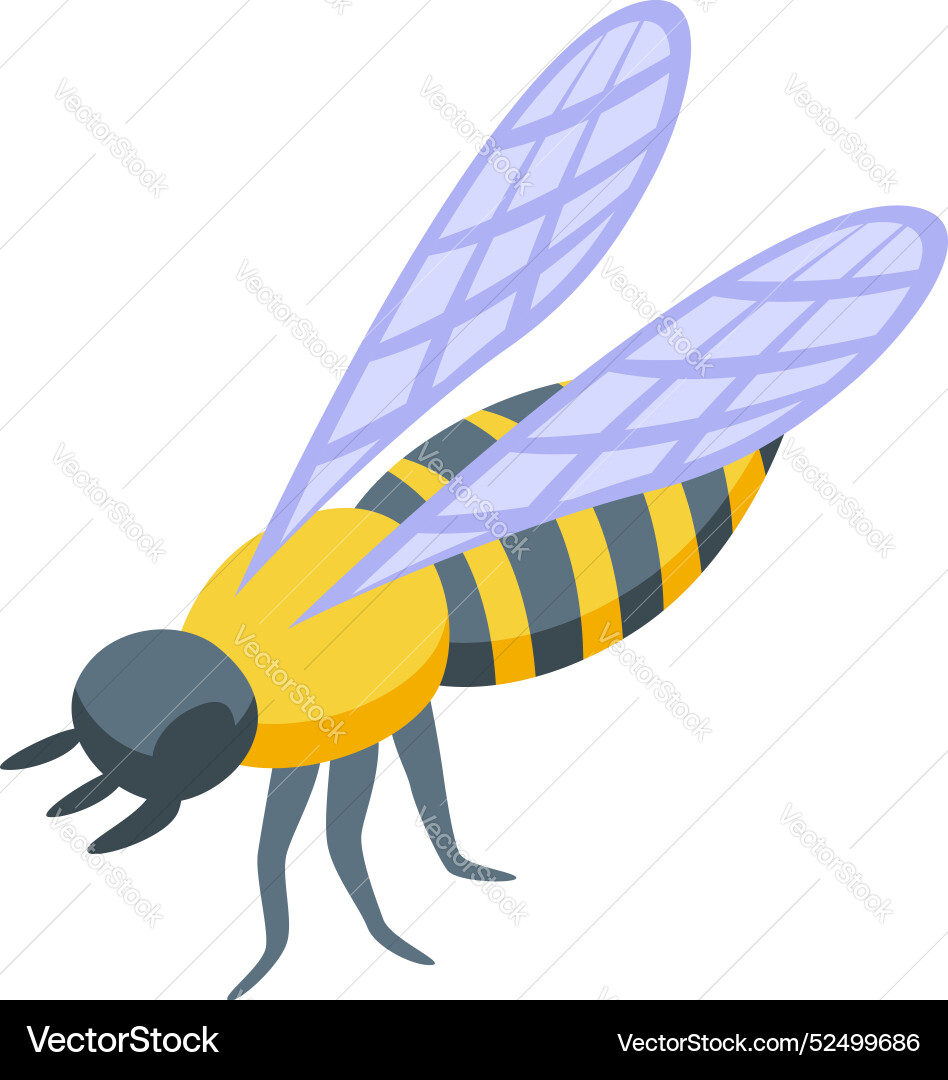 Honey bee flying with spread wings isometric view Vector Image