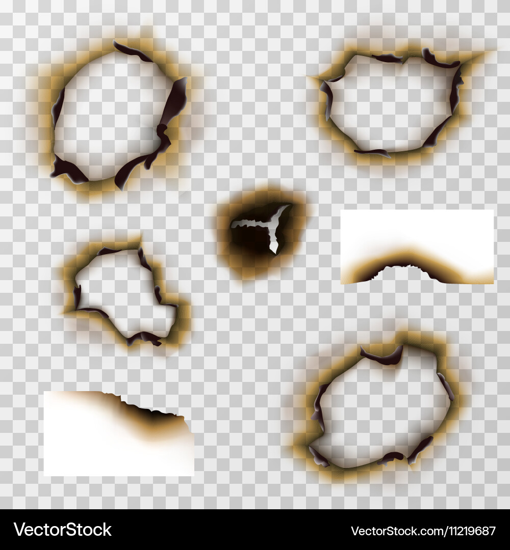 Burnt hole in paper or pergament scorched papers Vector Image
