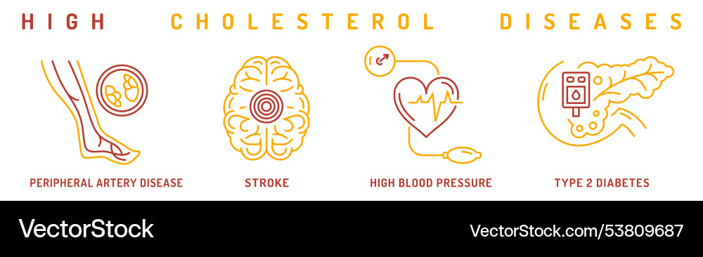 High cholesterol diseases medical infographic Vector Image