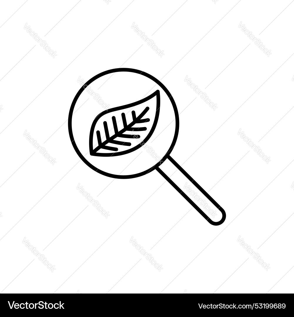 Botany icon set nature magnifier and plant symbol Vector Image