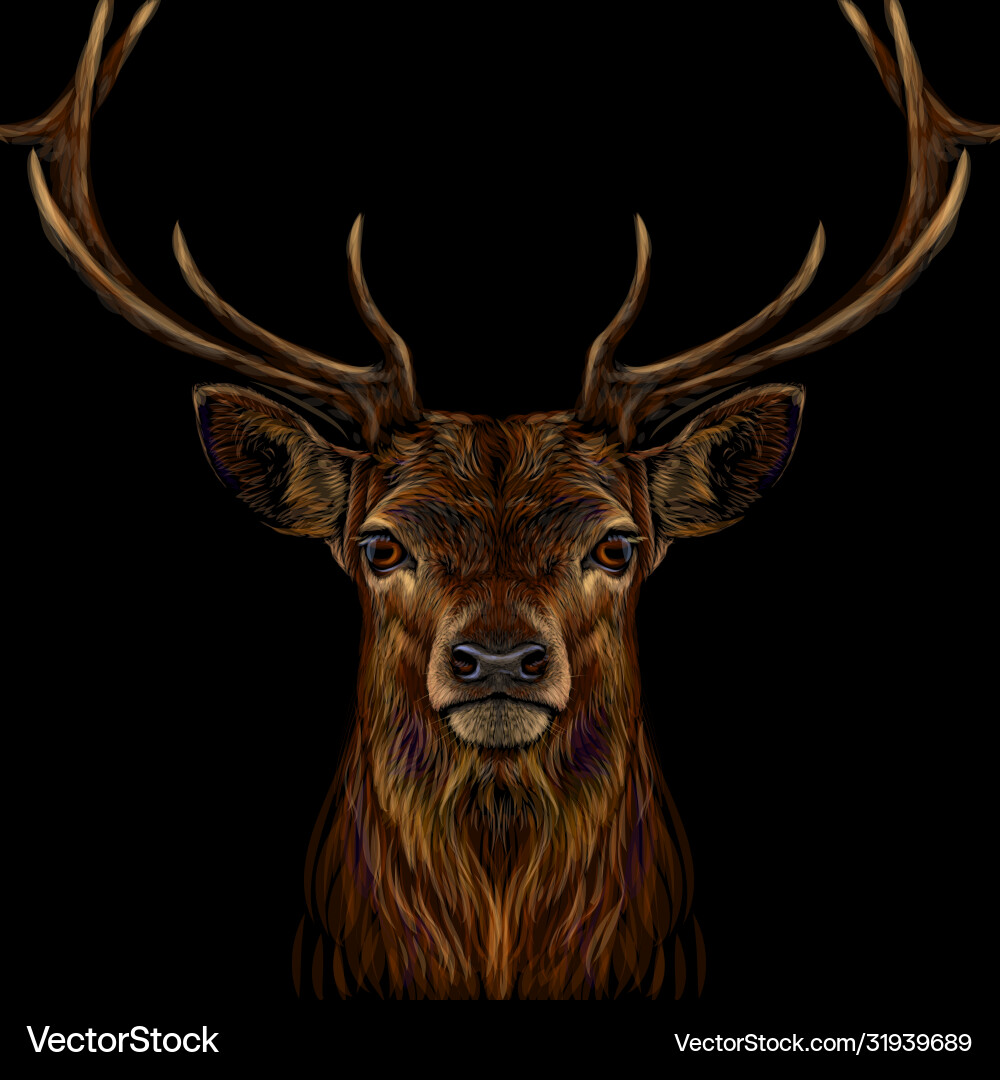 Deer realistic colorful hand-drawn portrait Vector Image