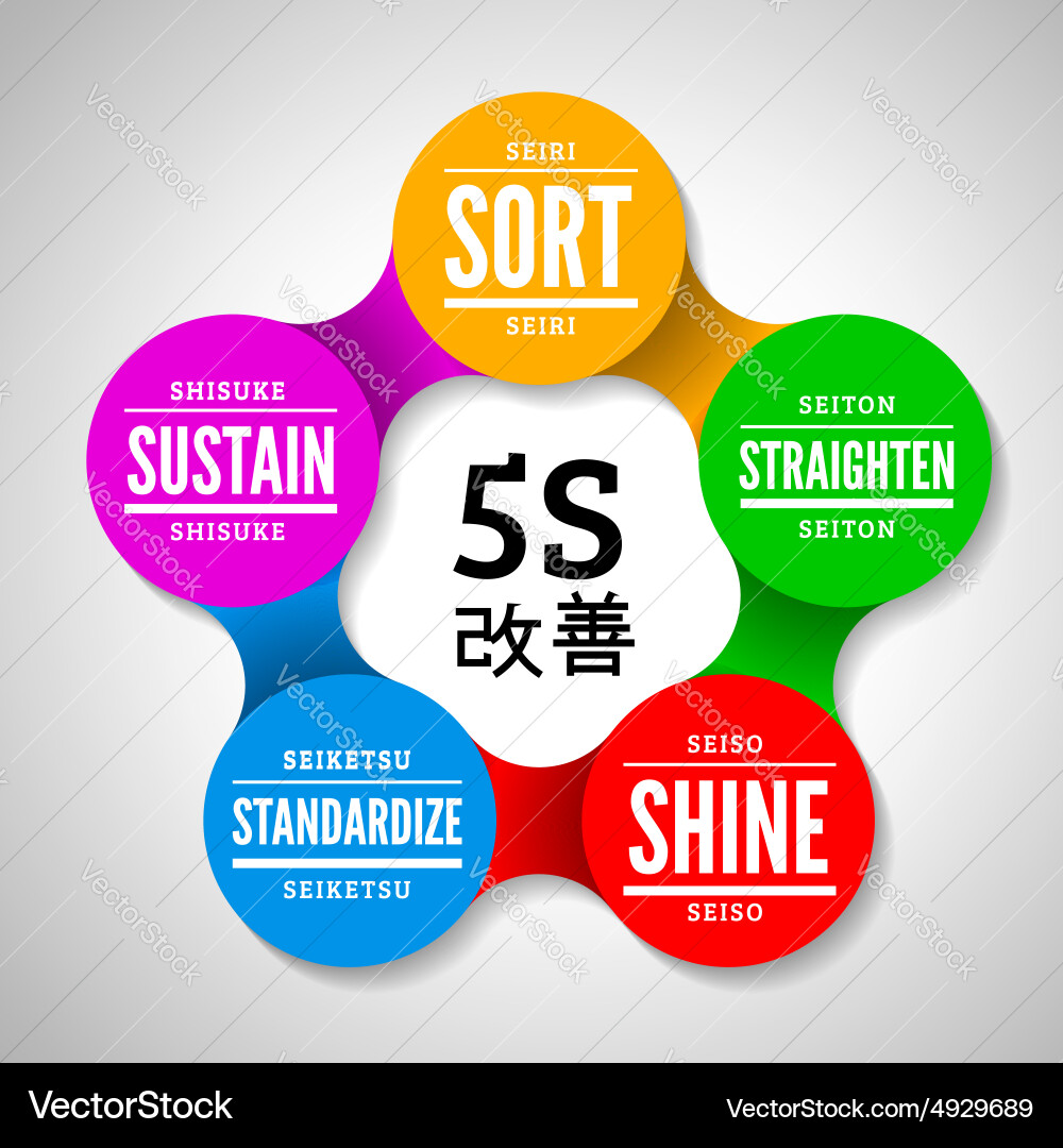 Five s methodology management from japan Vector Image