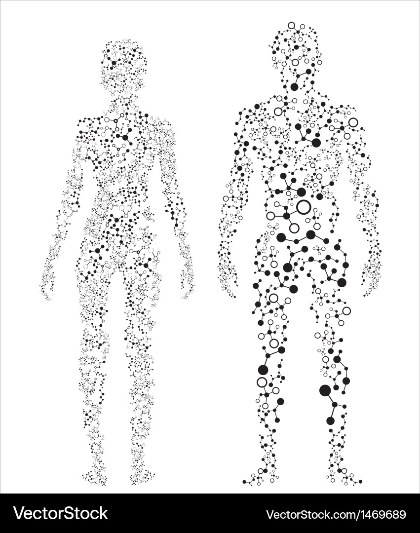 Human body molecular concept Royalty Free Vector Image
