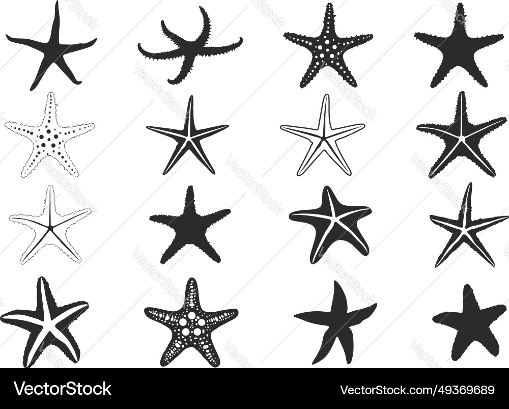 Starfish Logo Vector Images (over 3,700)