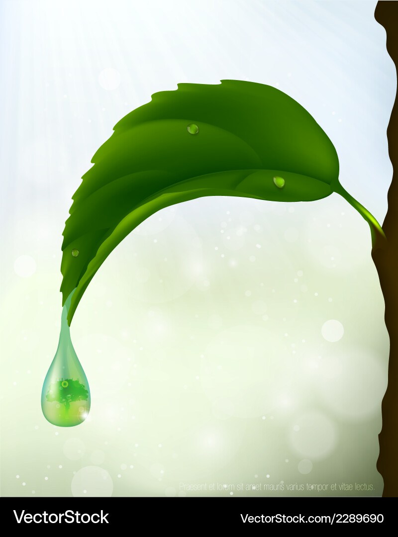 Lush Green Leaf with Water Droplet Royalty Free Vector Image
