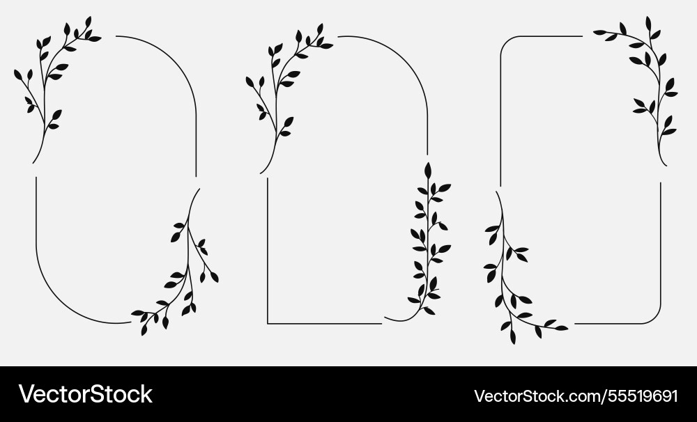 Botanical Line Art Floral Frame Collection Vector Image
