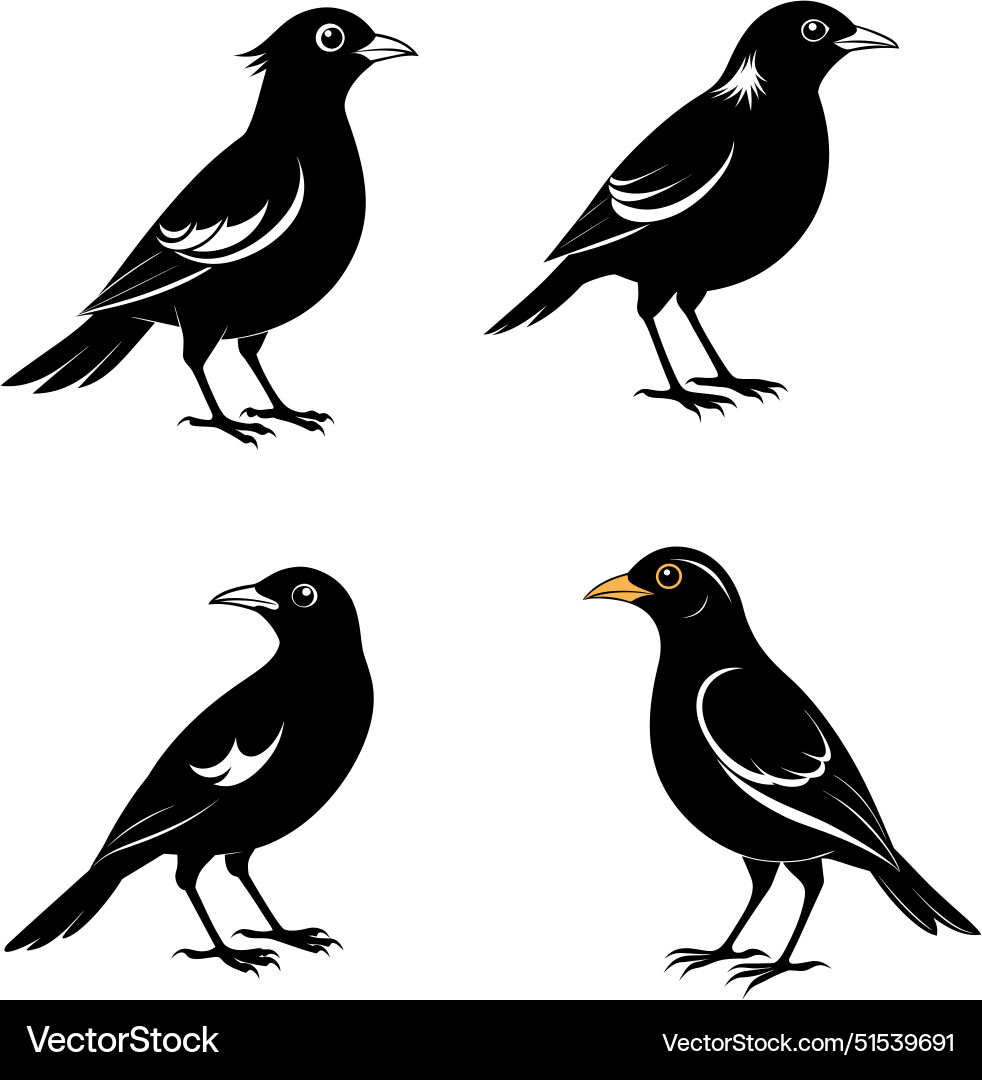 Flat bird collection Royalty Free Vector Image