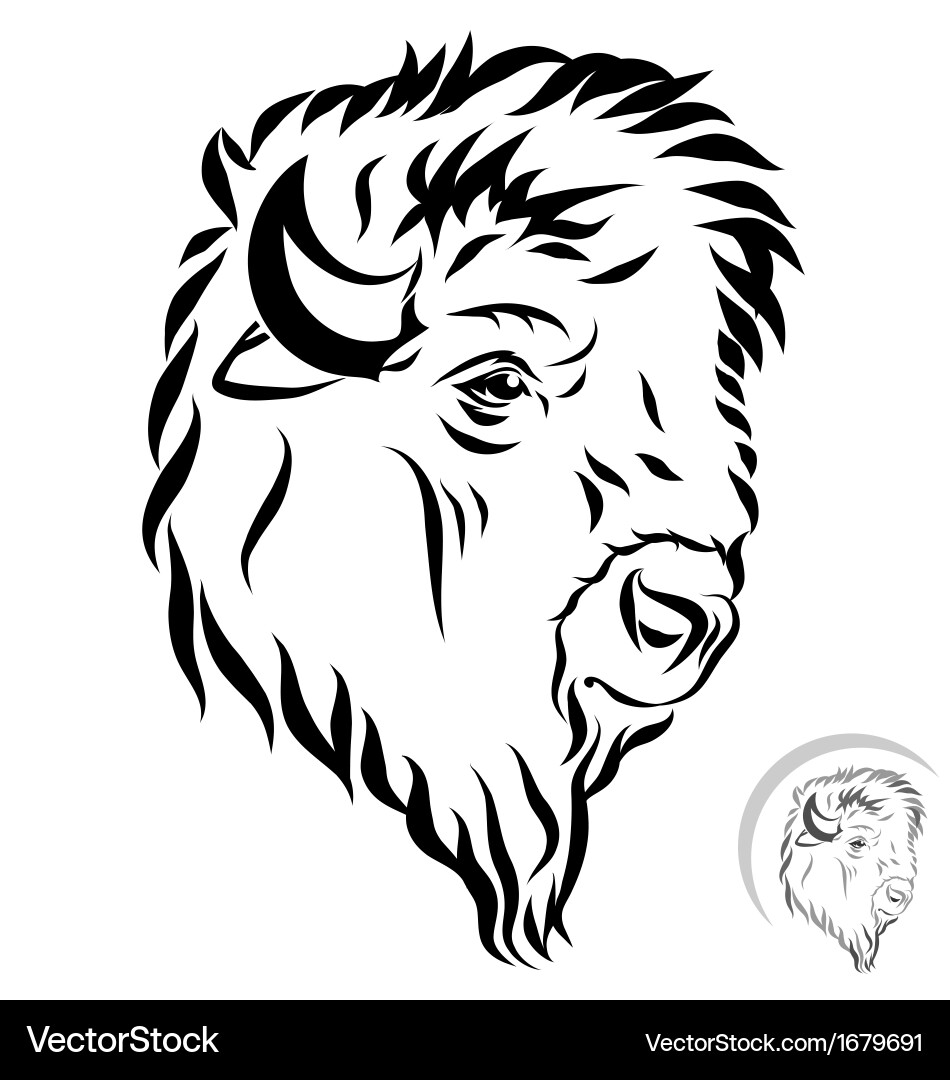 Stylized bison head Royalty Free Vector Image - VectorStock