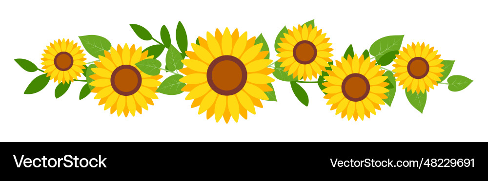 Sunflower head for greeting card decorative Vector Image