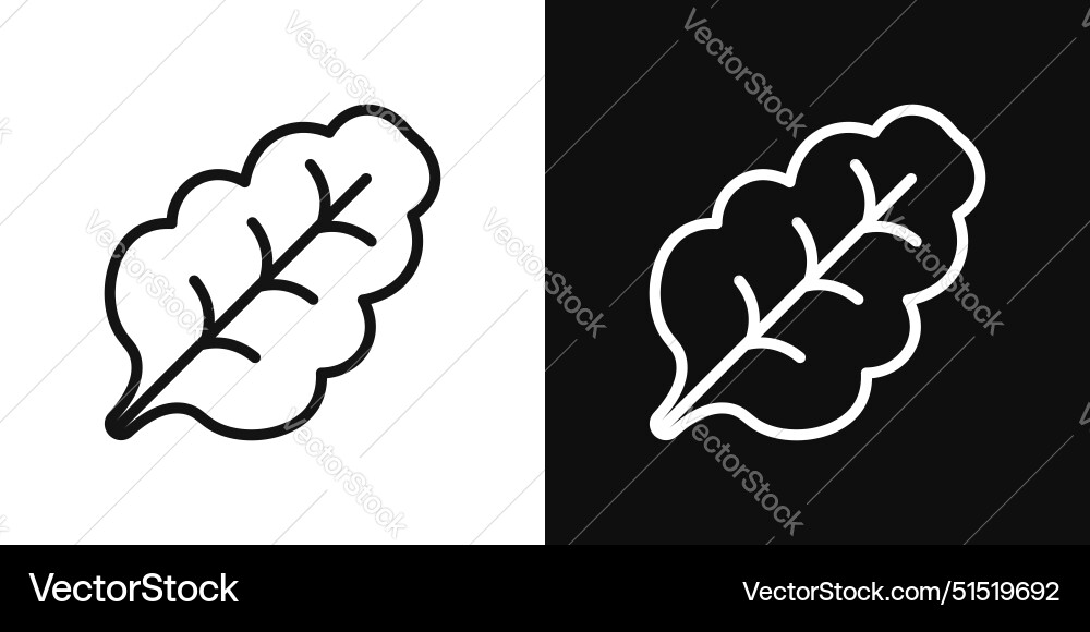 Lettuce icon Royalty Free Vector Image - VectorStock