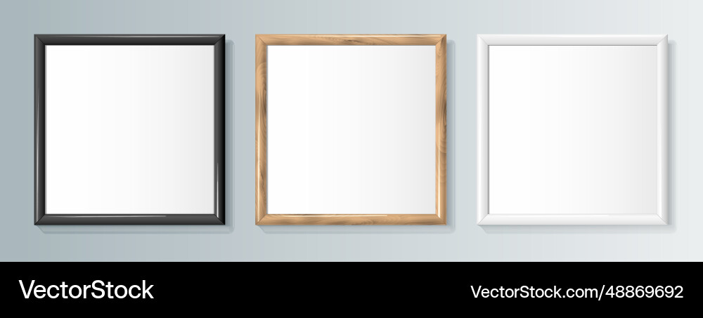 Realistic square black and white color frames Vector Image