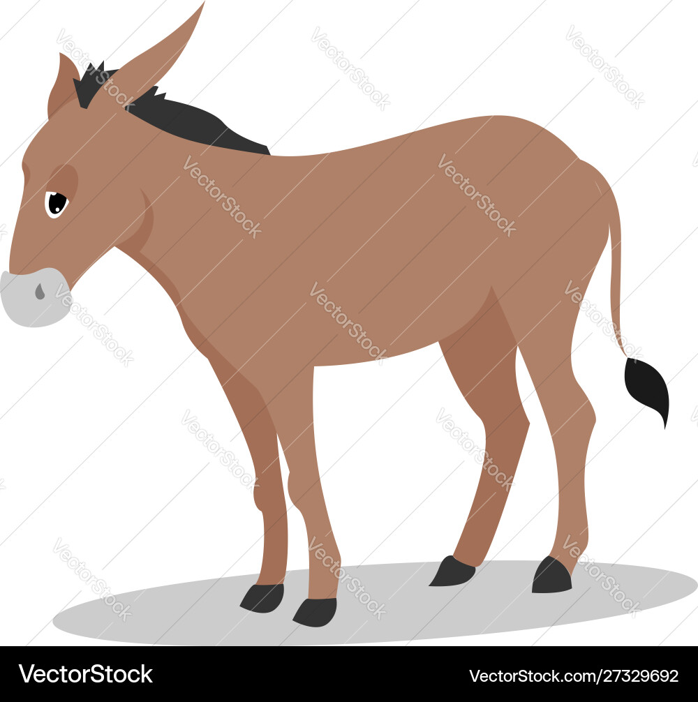 Sad donkey on white background Royalty Free Vector Image