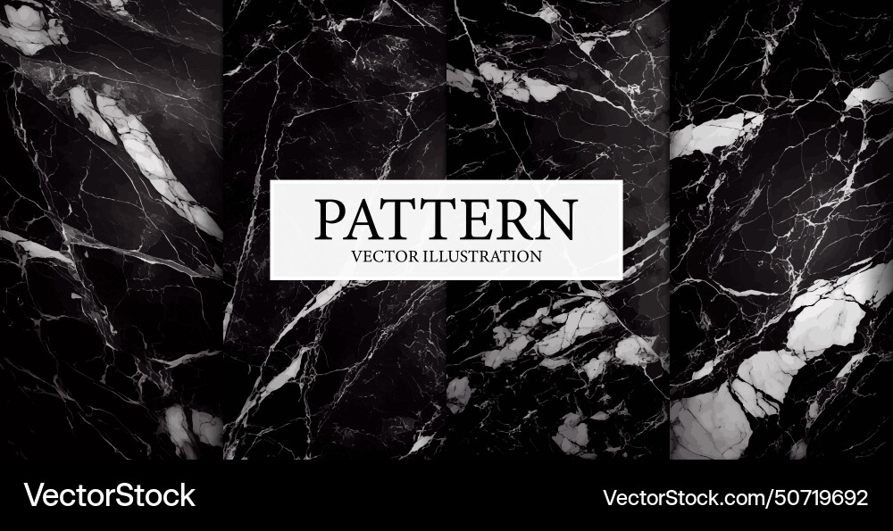 Set of 4 black marble textures background Vector Image