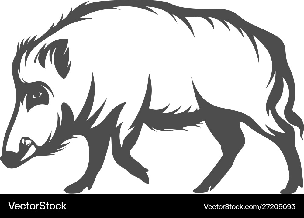 Wild boar logo design template icon symbol Vector Image