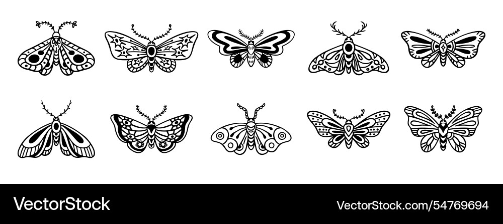 Moth doodle hand drawn icon set outline drawing Vector Image
