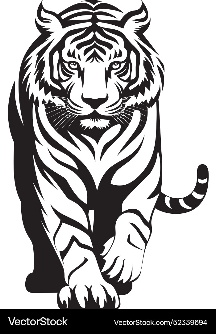 Stylized tiger sketch artistic monochrome Vector Image