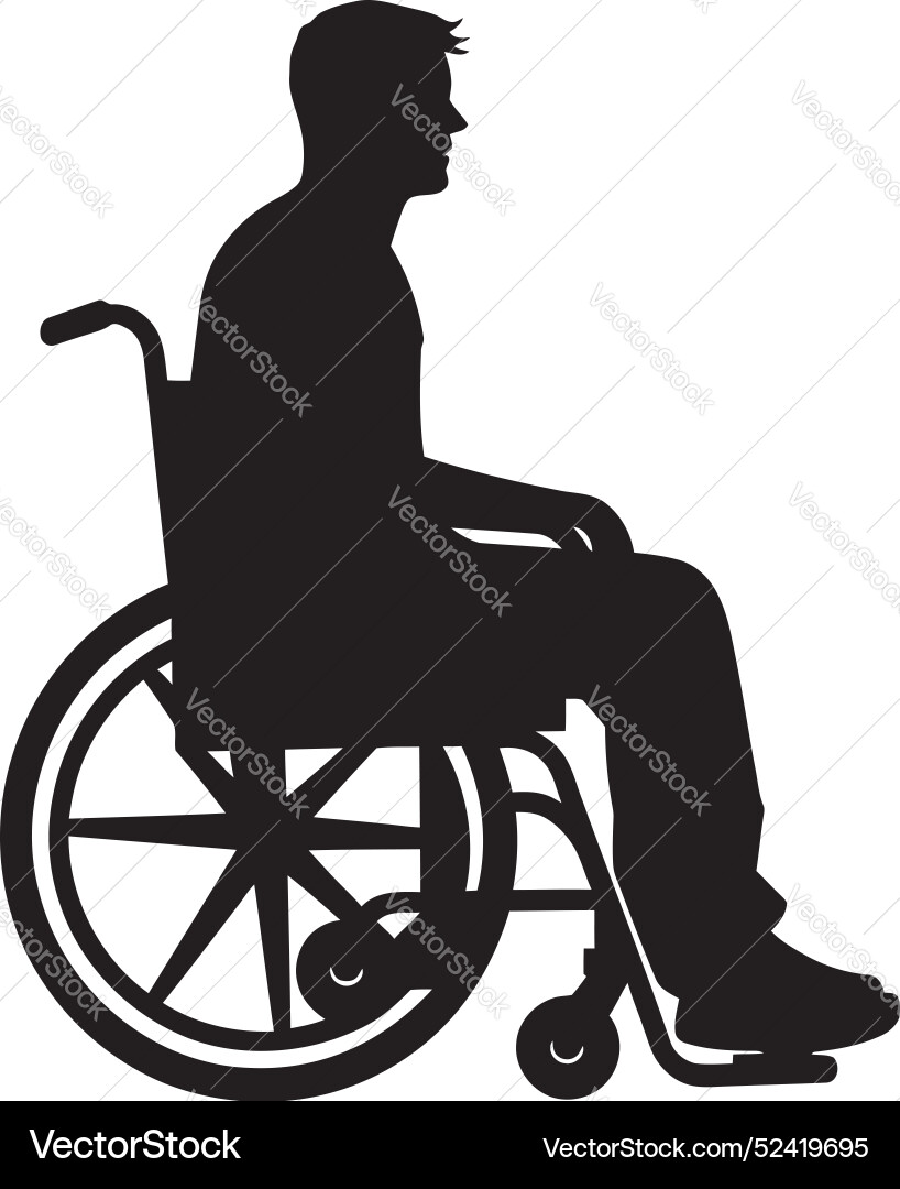 Empowerment drive wheelchair diverse mobility Vector Image