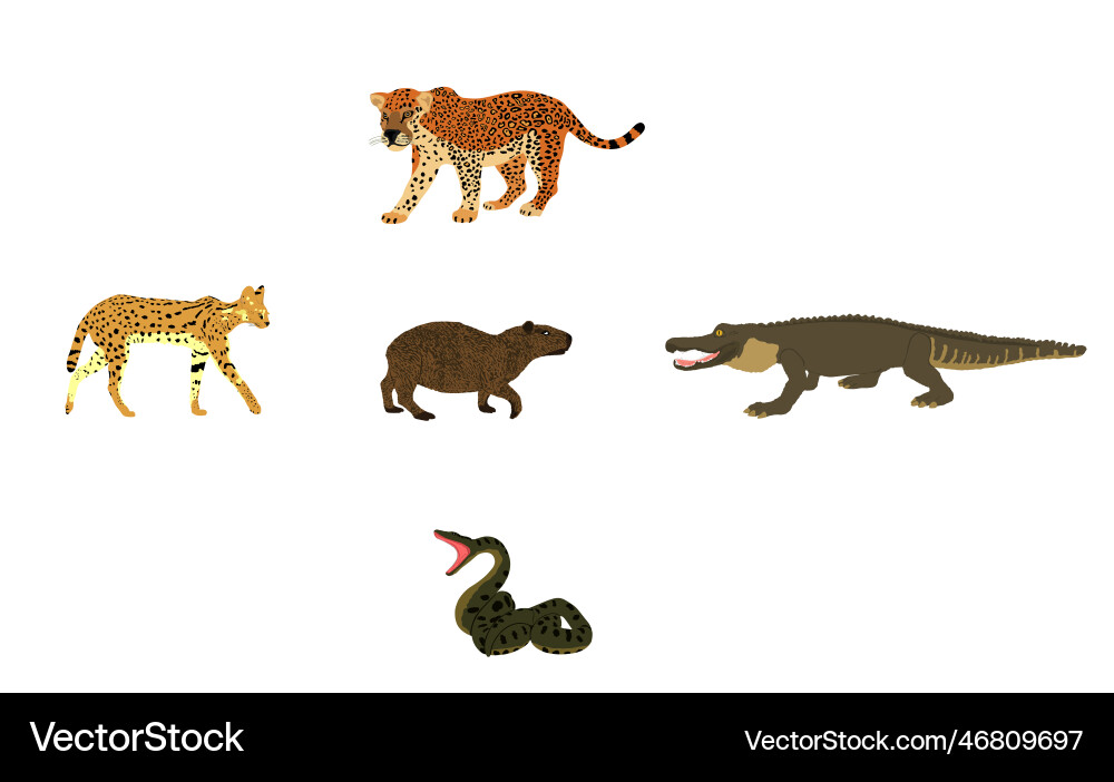 Capybara Food Chain Capybara Facts, Diet, Habitat & Pictures On