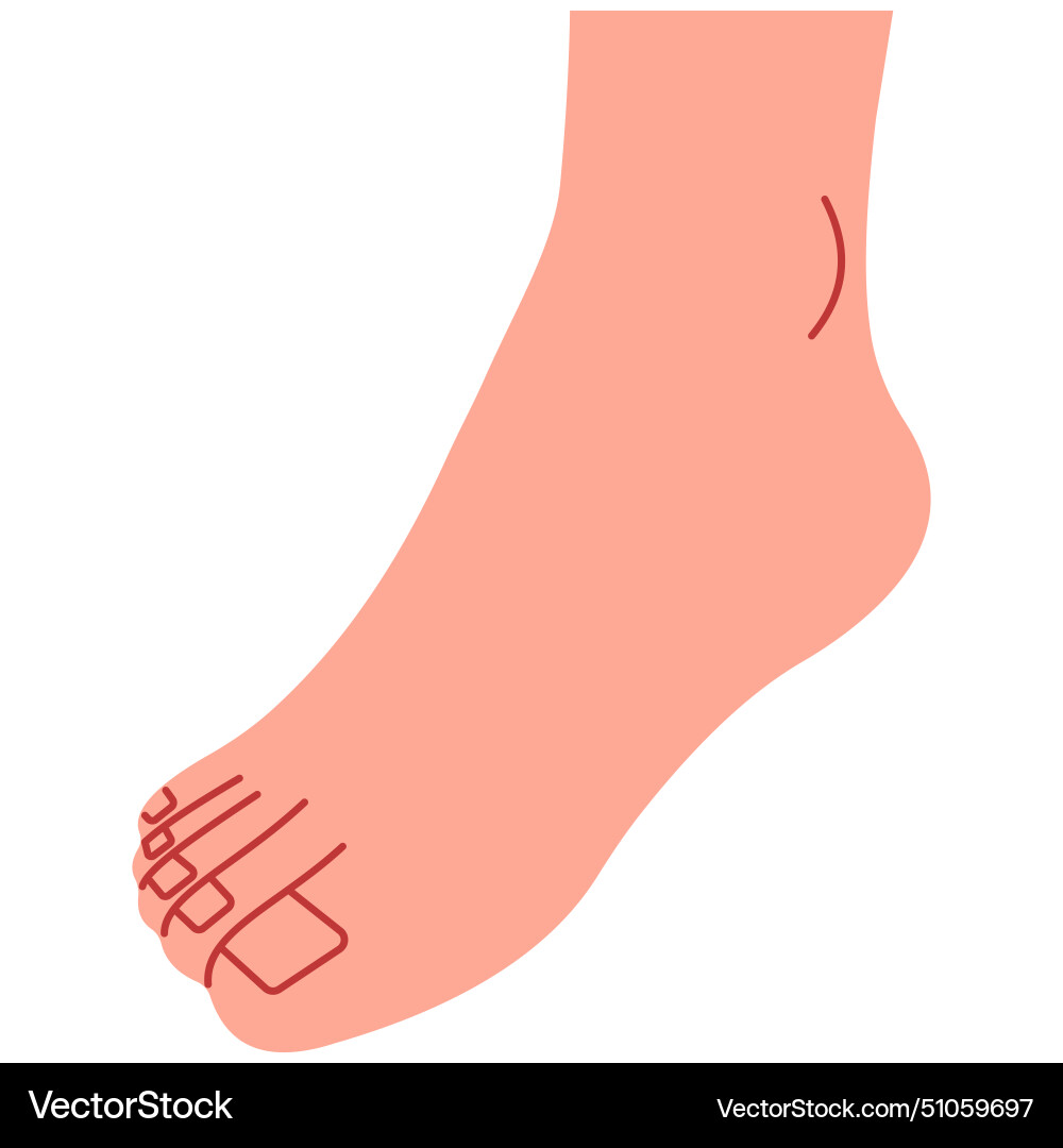 Foot Royalty Free Vector Image - VectorStock