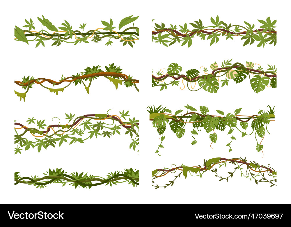 Tropical creeper borders cartoon jungle climbing Vector Image