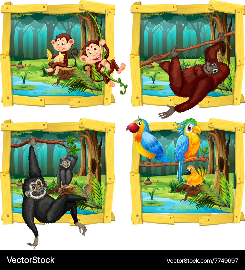 Wild animals in wooden frame Royalty Free Vector Image
