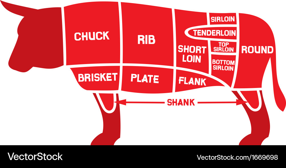 Beef cuts chart Royalty Free Vector Image - VectorStock
