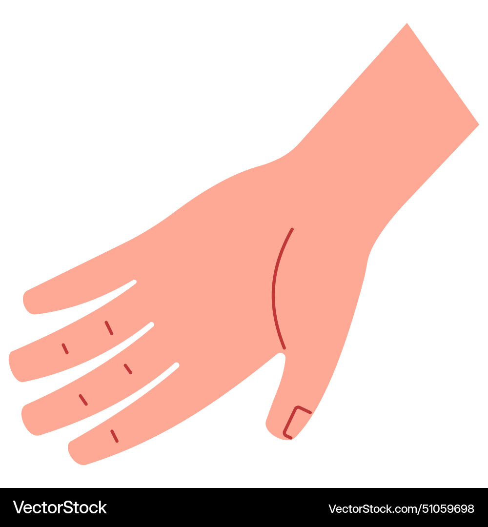 Hand front Royalty Free Vector Image - VectorStock