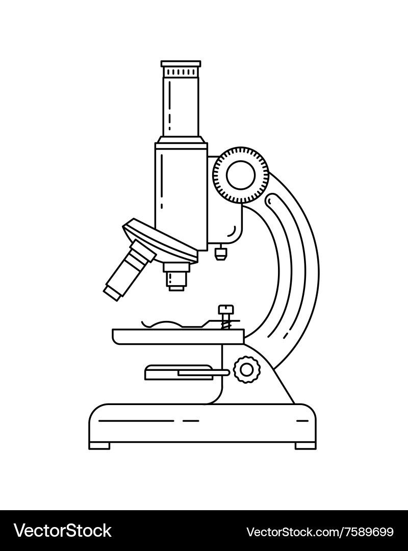 Microscope Line Art Royalty Free Vector Image - VectorStock